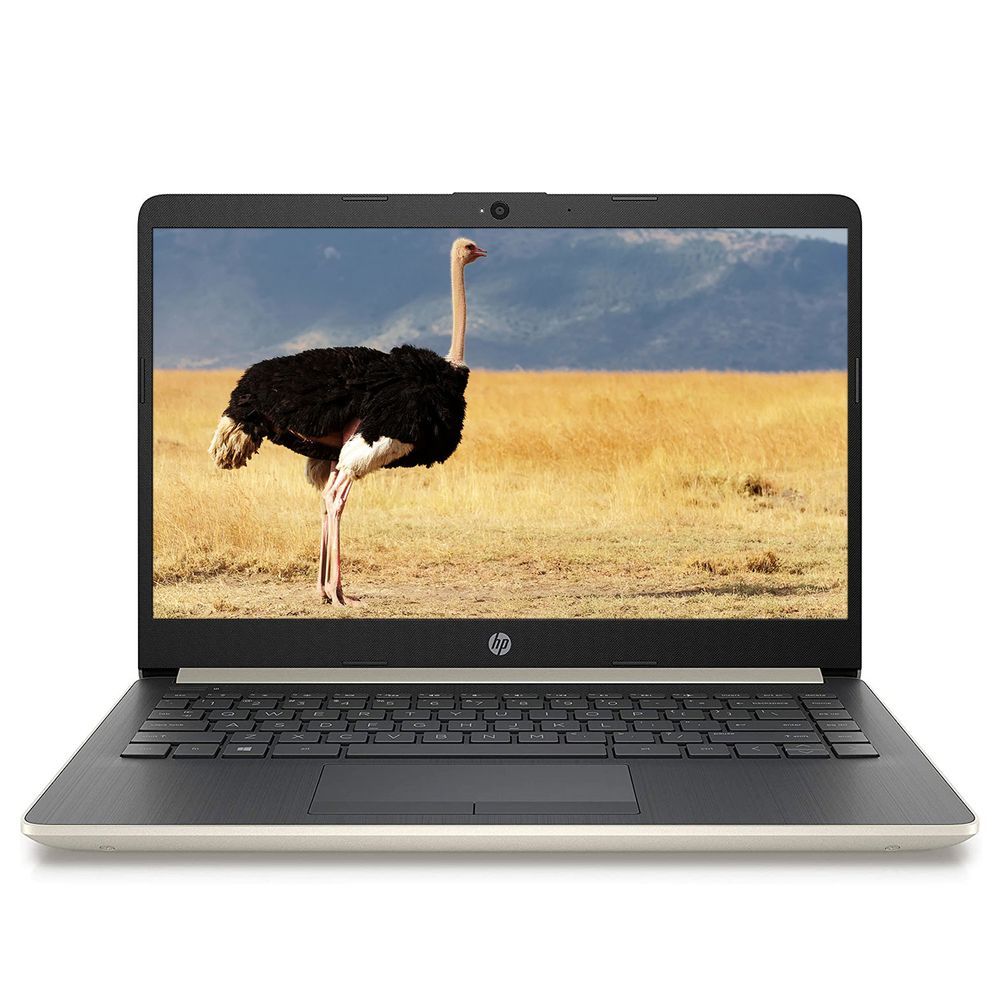 Notebook HP 14 Core i3 10ma 8gb + 240 SSD / Gold Win 10