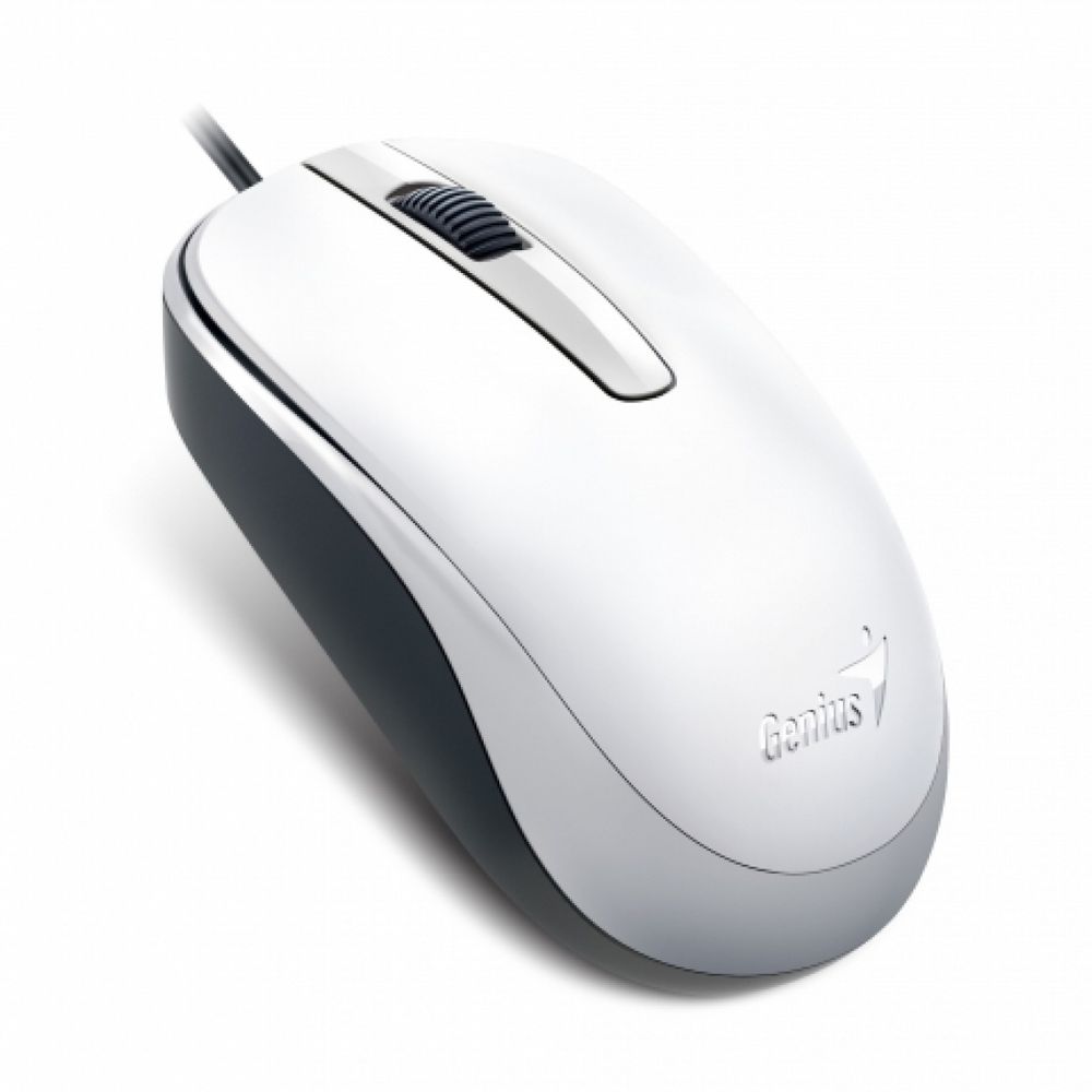 GENIUS MOUSE DX-120 USB BLANCO