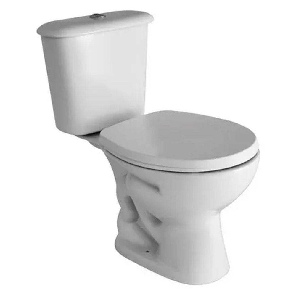 Inodoro Con Mochila Tapa Andina Ferrum Largo Juego Baño E