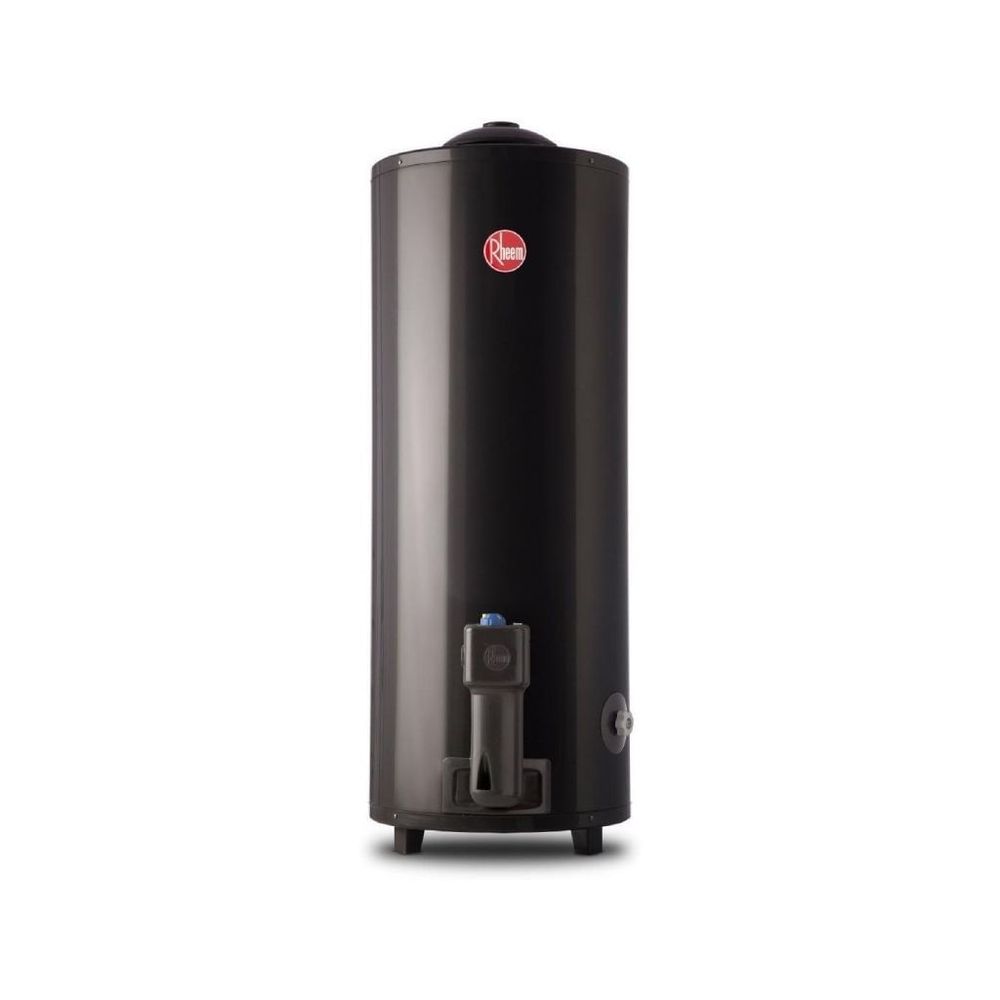 Termotanque A Gas Rheem 80L Carga Superior De Pie TGNP080RH