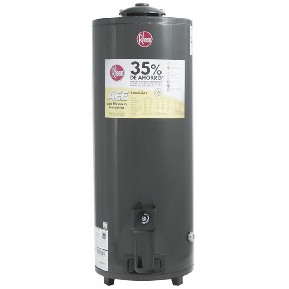 Termotanque A Gas Rheem De 120 Lts
