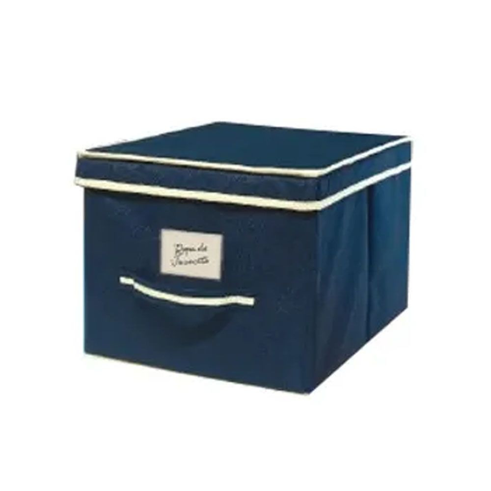 Caja Organizadora con tapa 30x40x25 Azul