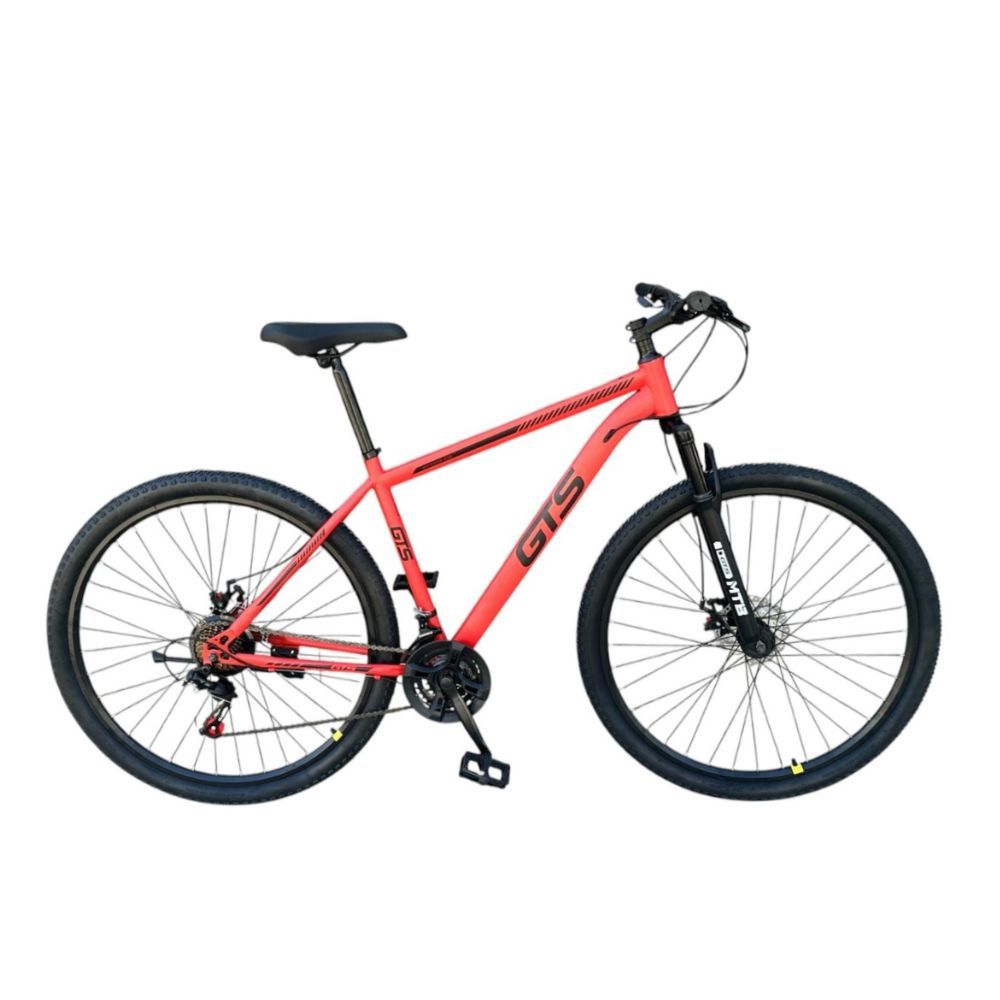 Bicicleta GTS MTB R29 Red