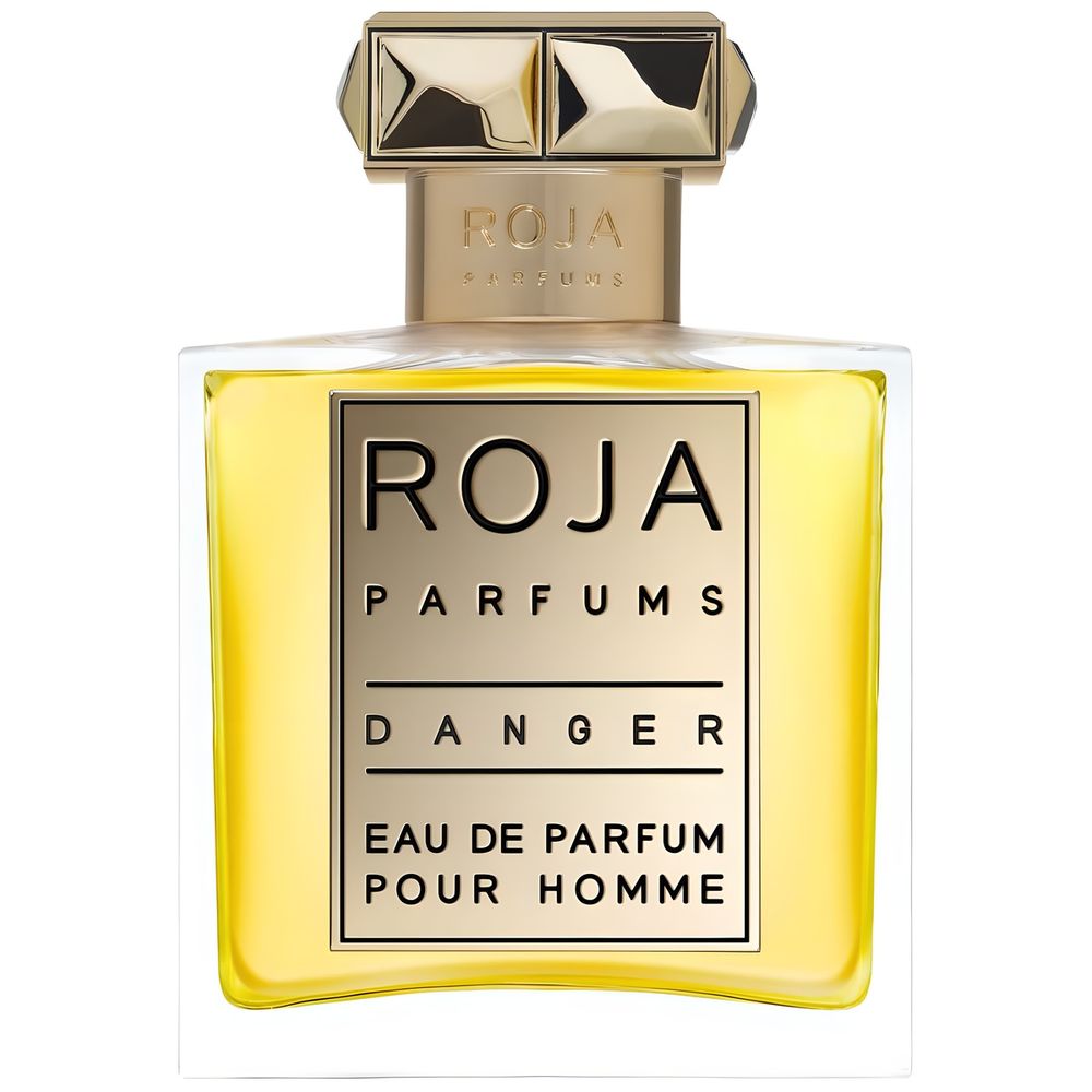 Perfume Roja Parfums Danger Parfum para hombre 50 ml