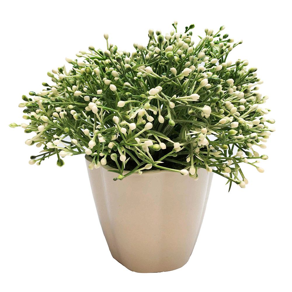 Planta Decorativa Exofilia Artificial en Maceta 18 cm