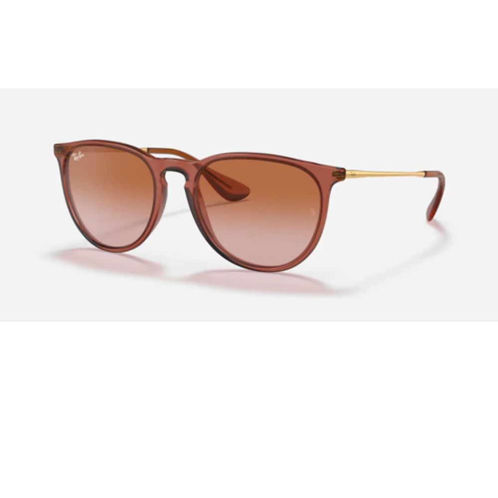 Lentes de Sol Ray-Ban Erika Traslúcido Marco Marrón Oscuro Lente Marrón ...