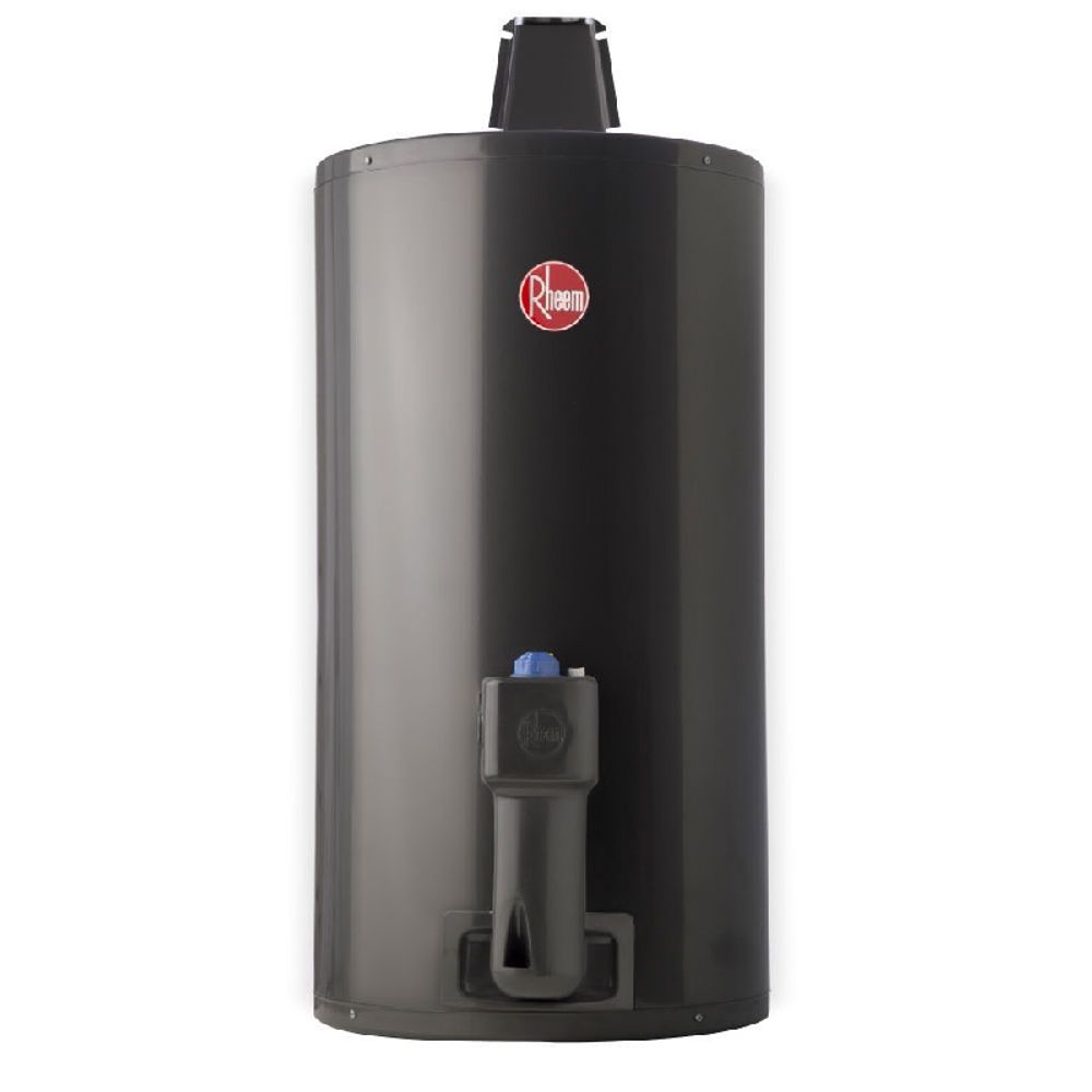 Termotanque Gas Natural Rheem 80 Litros Tgnp080rh