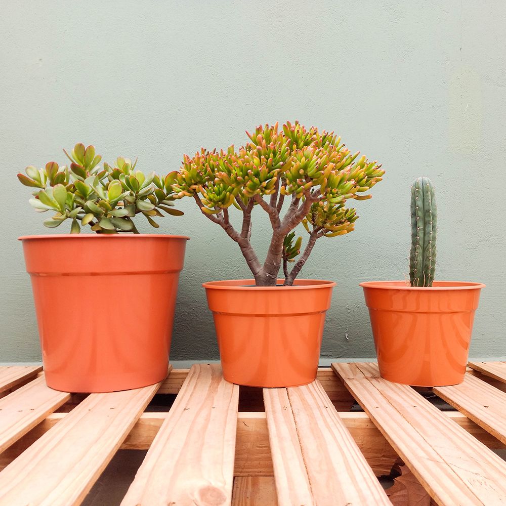 Set x 3 Maceta Clasica Simil Barro Beruplast