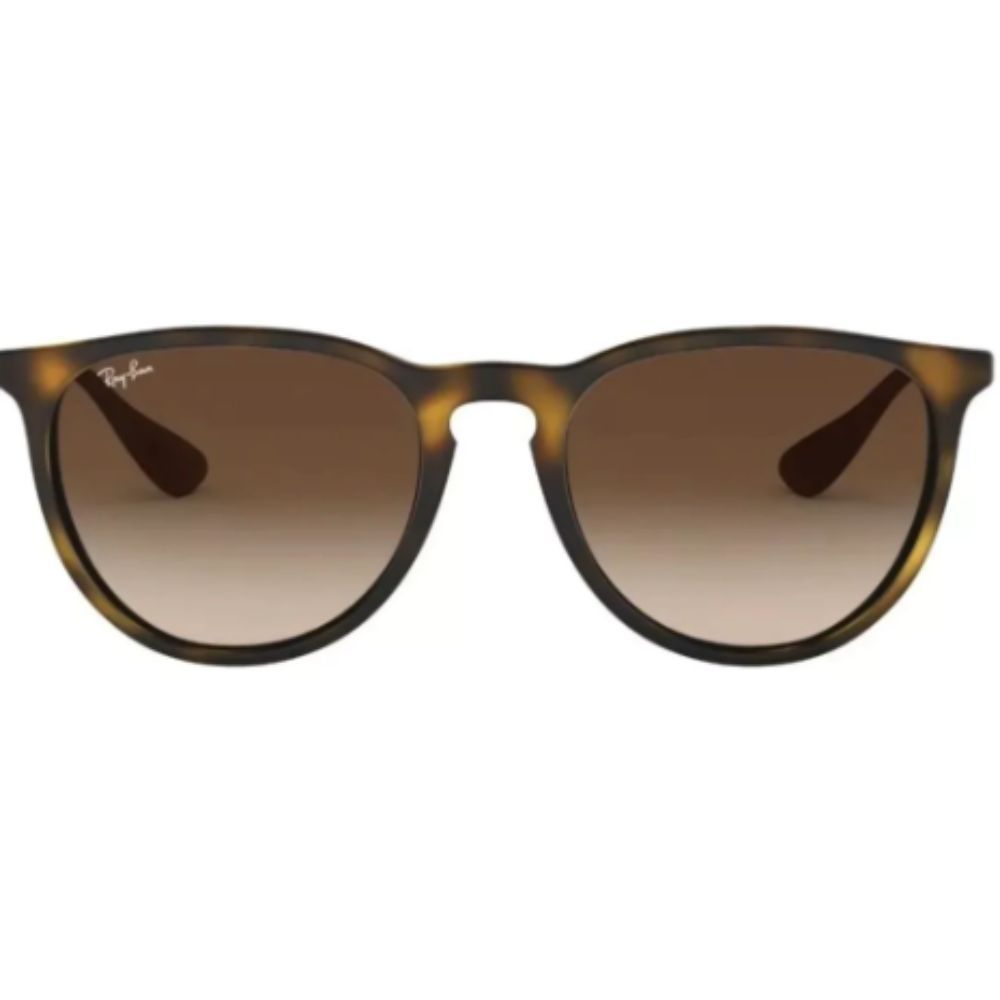 Lentes Ray-ban Erika Classic Standard Con Marco De Nailon Color ...
