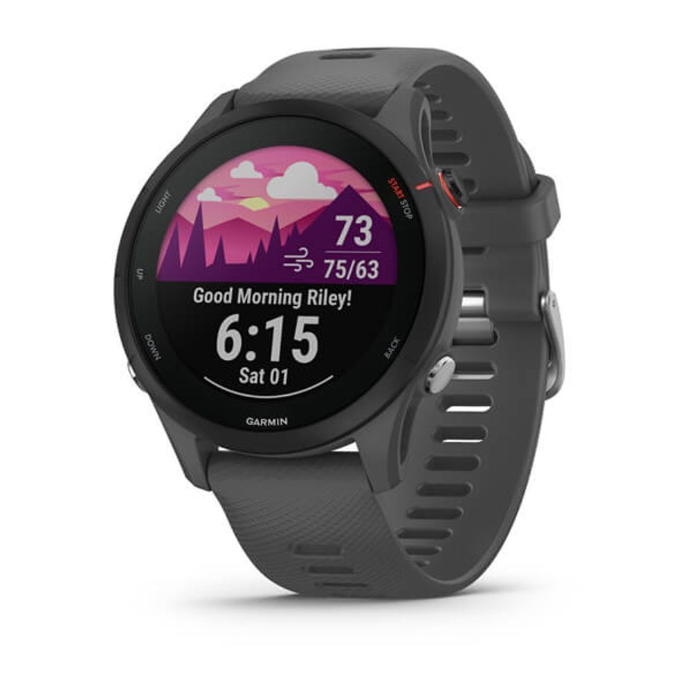 Garmin Reloj GPS Forerunner 255 Basic 46mm gris