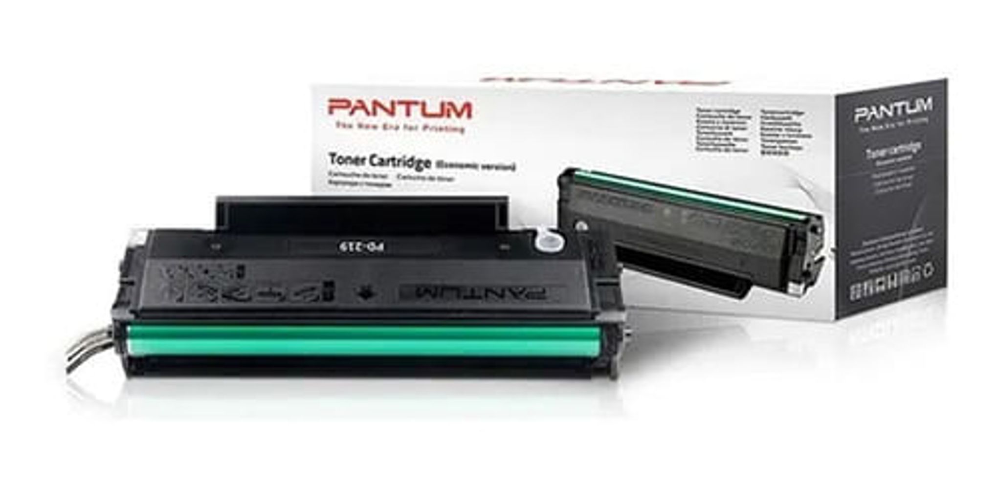 Toner Pantum Original Pd 219 Negro Serie P2509 M6509 M6559