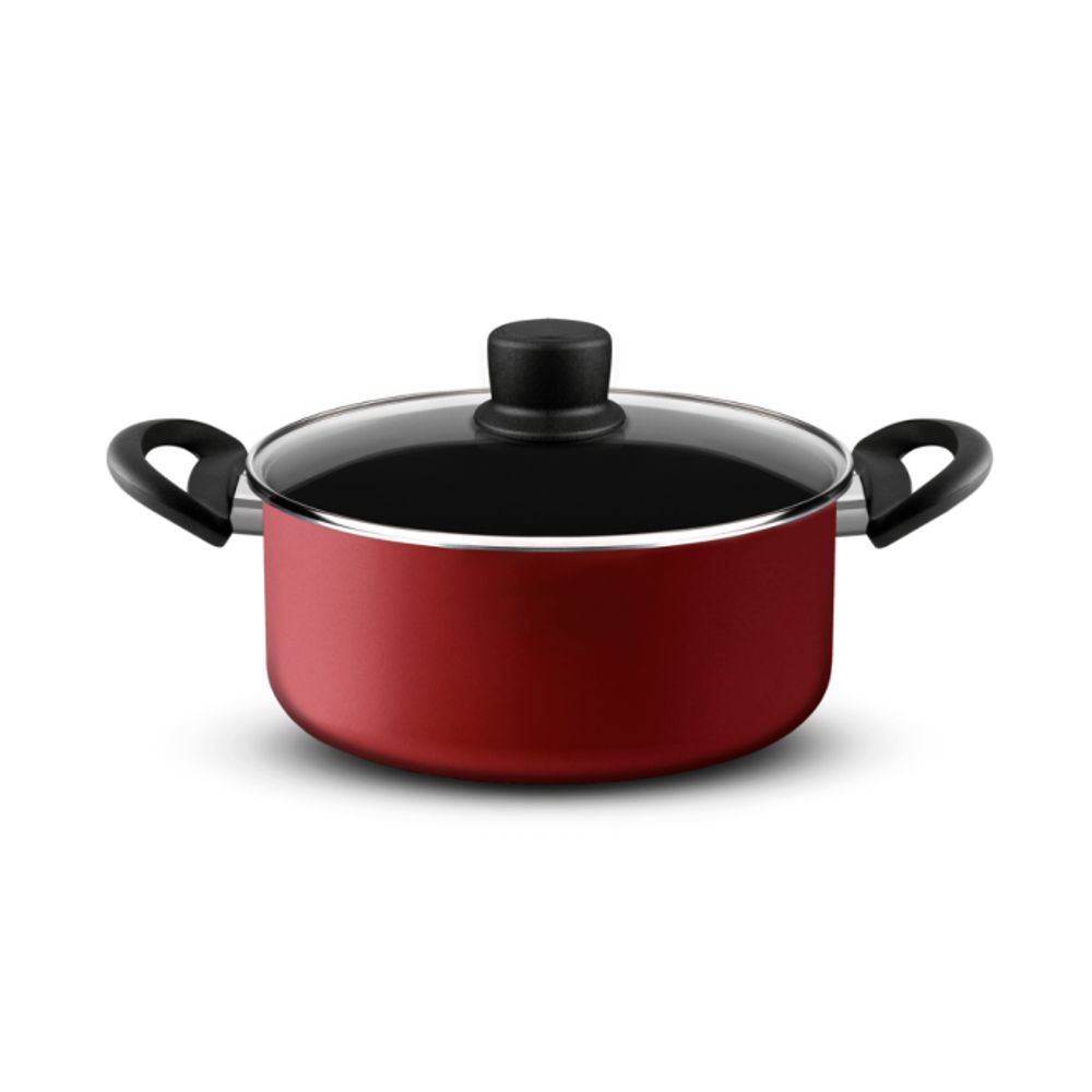 Tefal Red Surprise Olla 24 Cm con Asas y Tapa Vidrio (9100047974)
