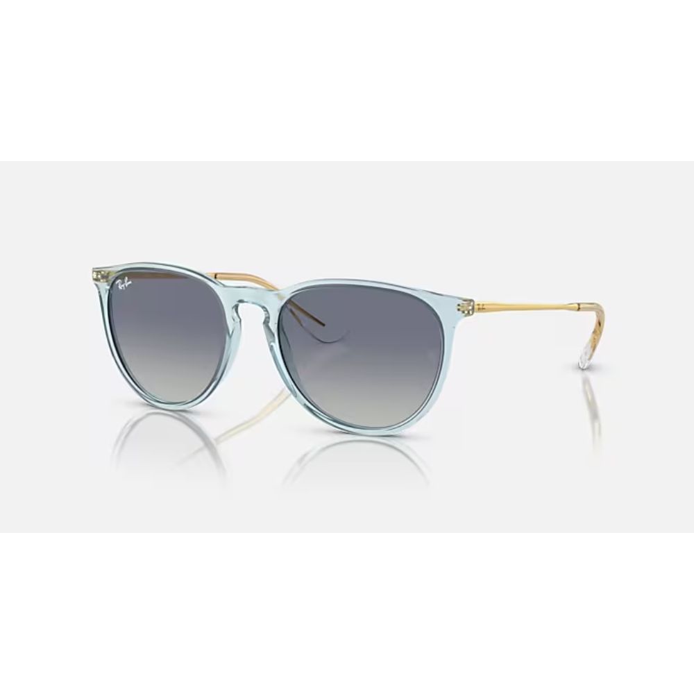 Anteojos Ray Ban Erika