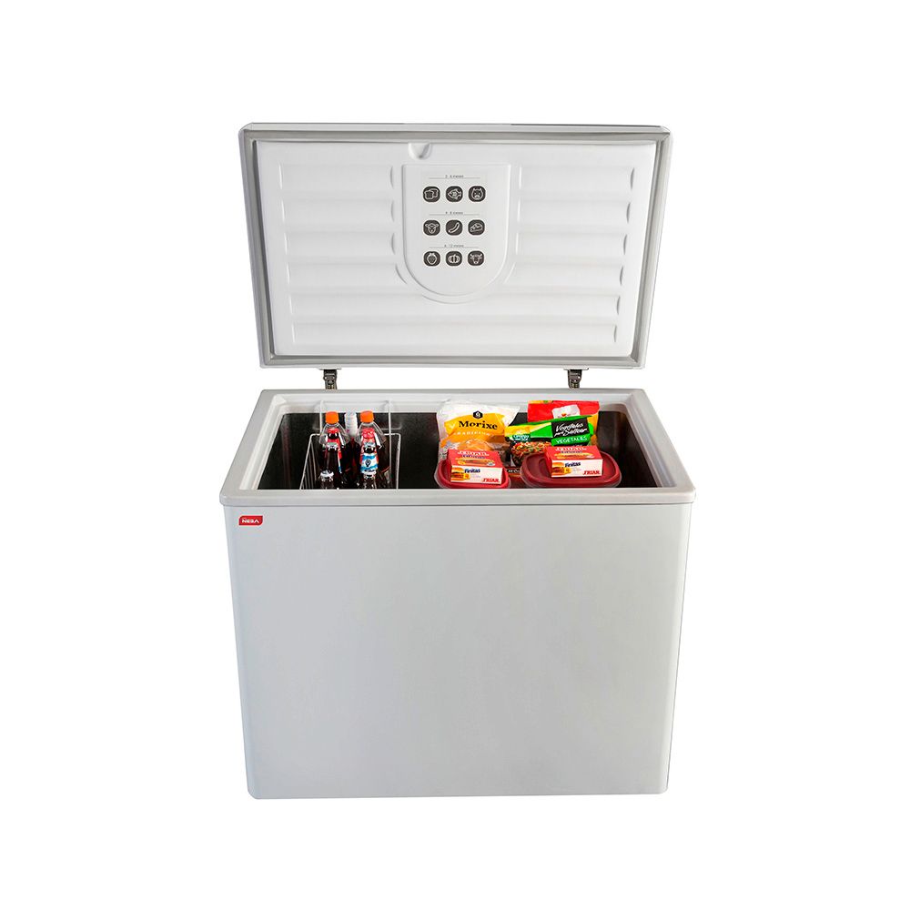 Freezer de pozo Neba F310