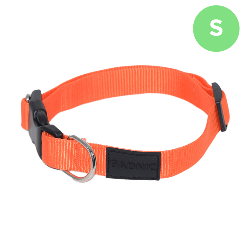 Collar Naranja Rápido Para Perro Gadnic Regulable Paseo - Talle S