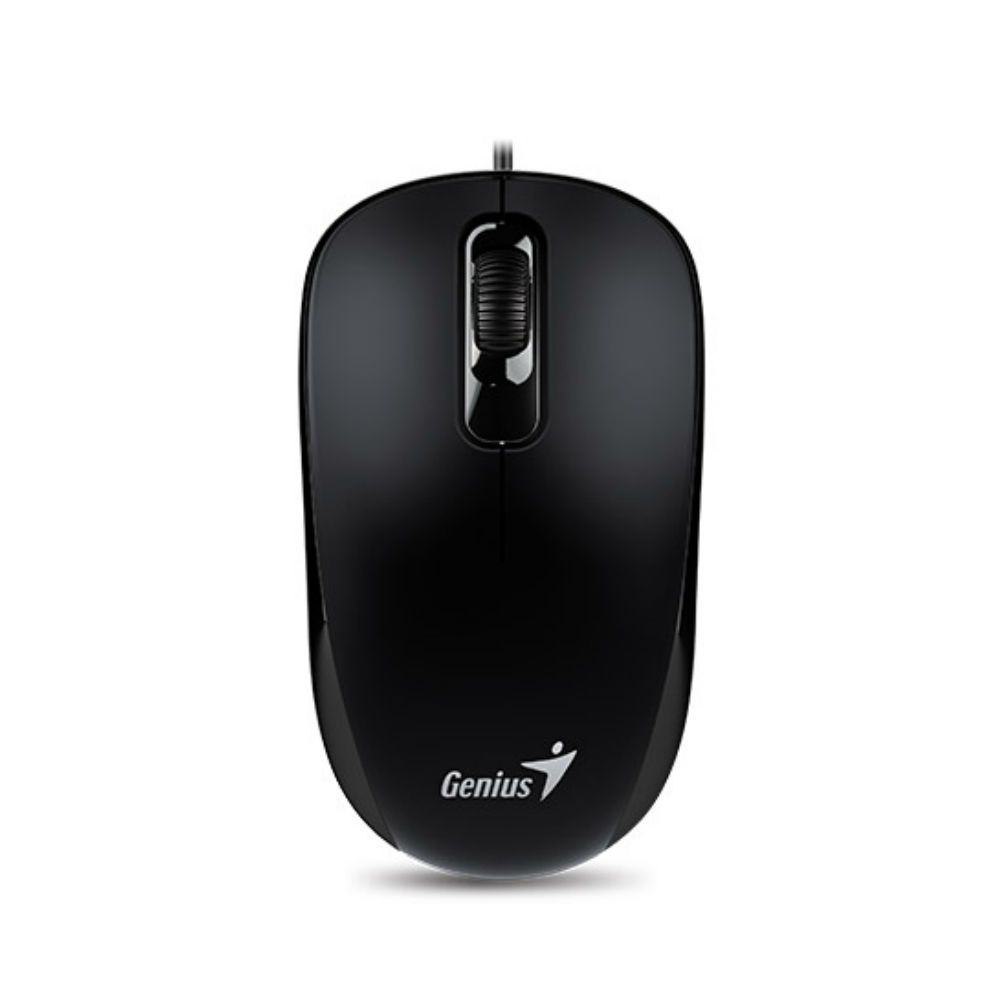 Mouse Genius DX-110 Black