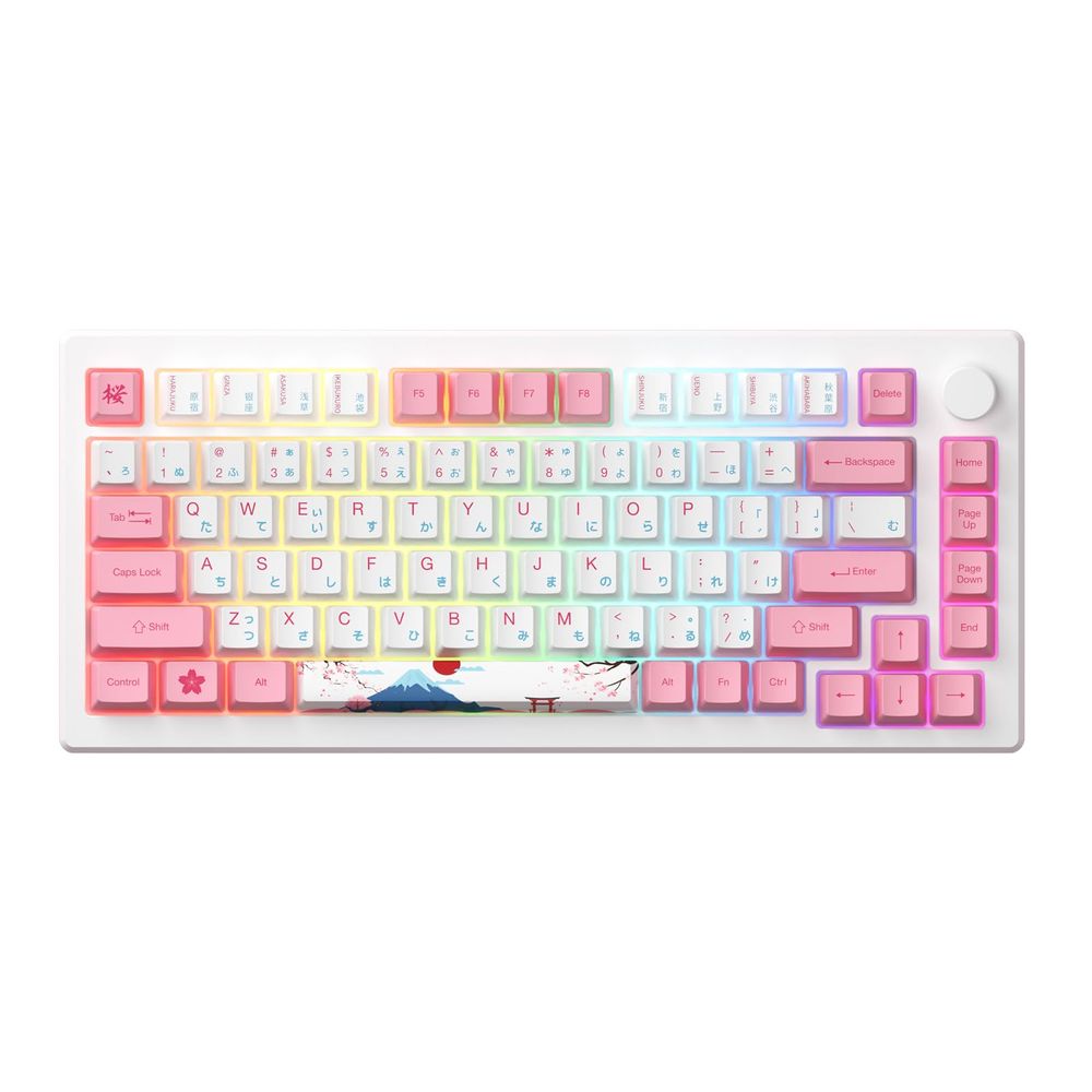 Akko MOD007B HE PC World Tour Tokio Wire/ Teclado
