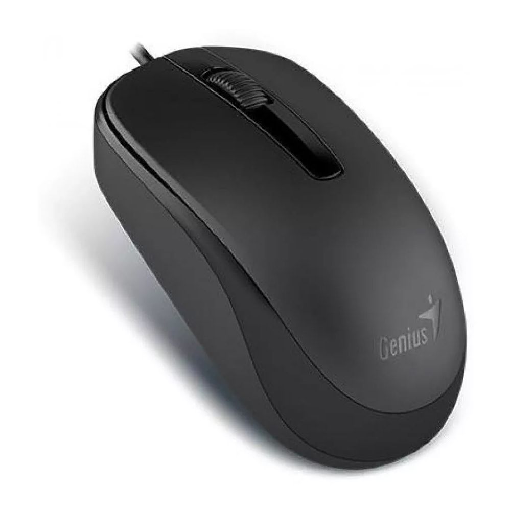 Mouse Genius Dx-120 Usb Negro