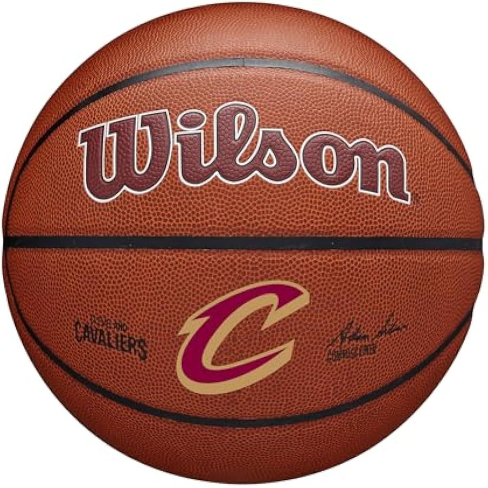 WILSON Balones de baloncesto NBA Team Alliance,