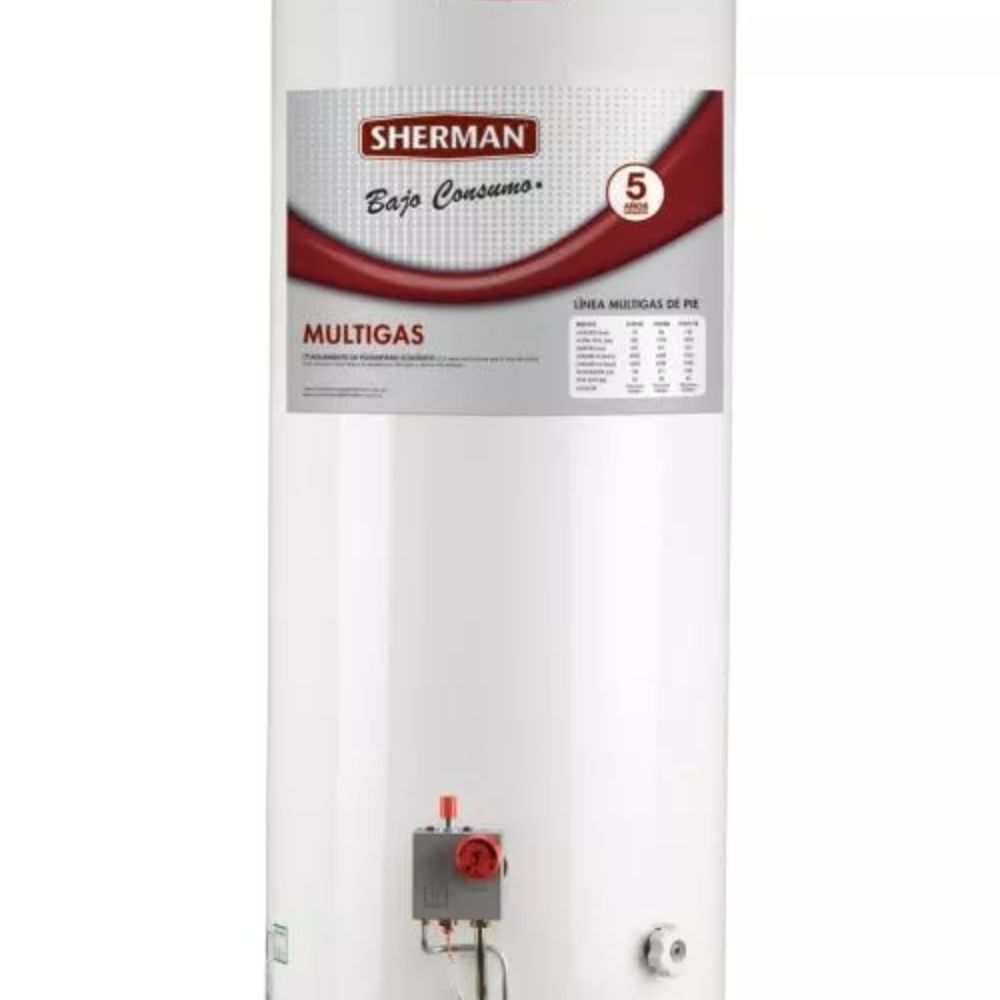 Termotanque Electrico De Pie 55 L Sherman Conexion Superior